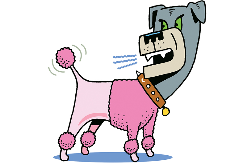 Three New Dog Breeds We’d Love to See