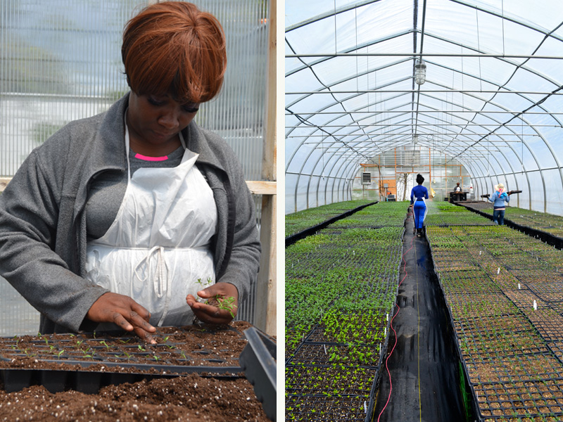 Amy Hepworth, Gerry Greco, and Gail Hepworth