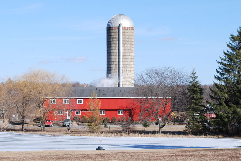 Your Complete Guide to Maple Syrup in the Hudson Valley