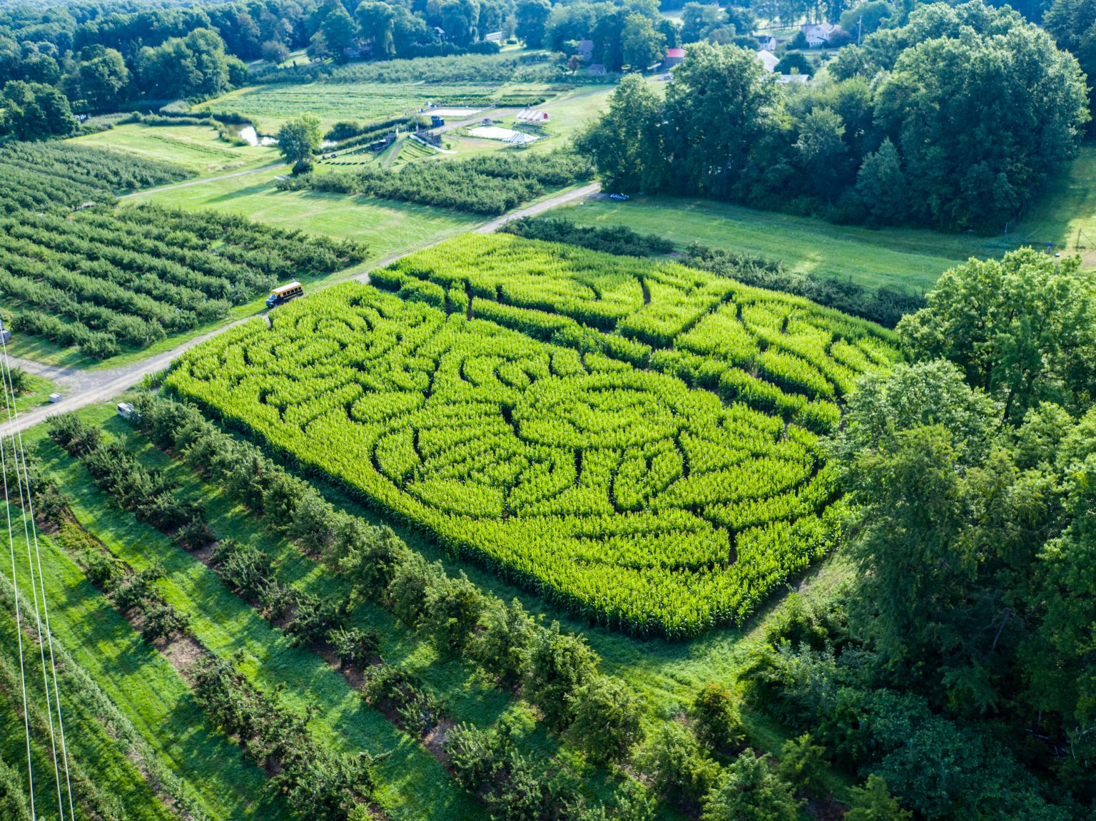 All the Hudson Valley Farms to Visit in Every Season of the Year