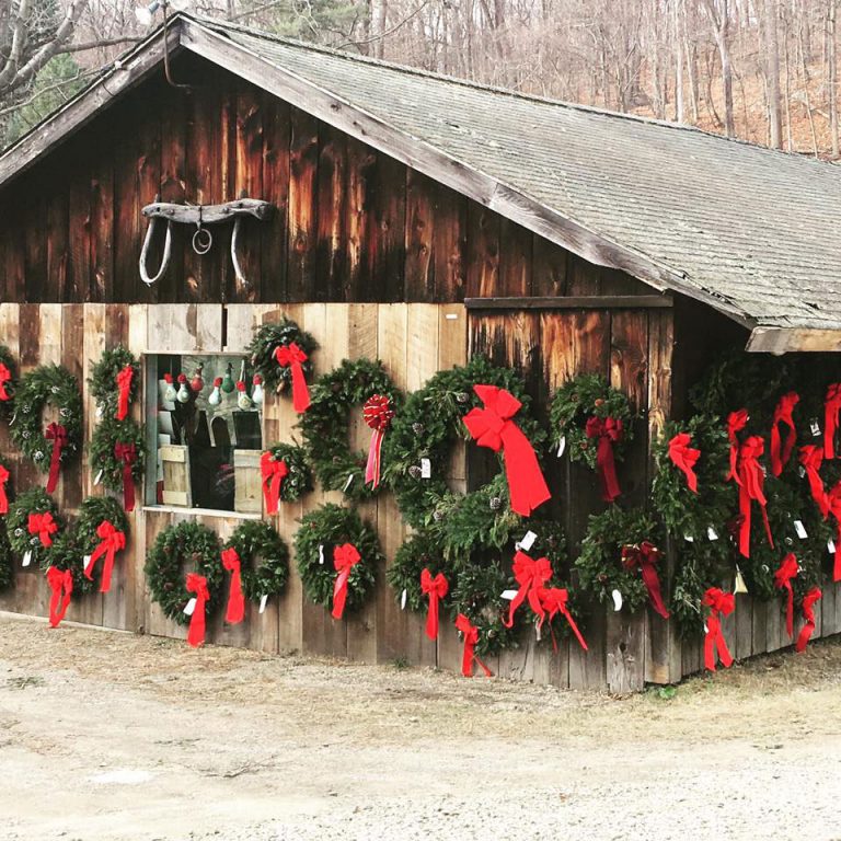 Pick Your Perfect Pine at a Hudson Valley Christmas Tree Farm