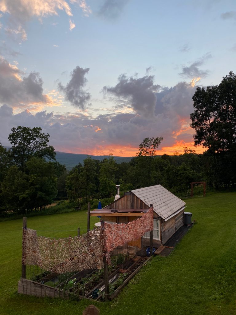 3 Rustic, Eco-Chic Airbnbs Offer the Ultimate Catskills Escape