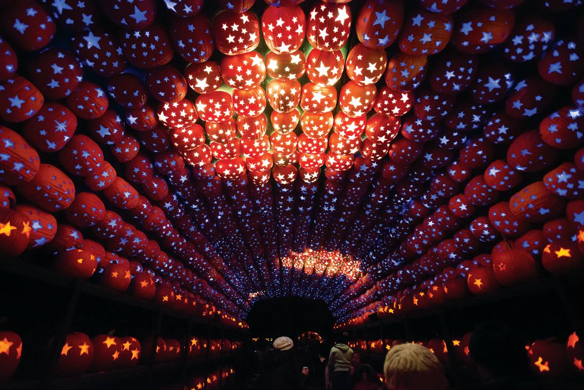 The Best Events & Fests to Hit in the Hudson Valley This Fall