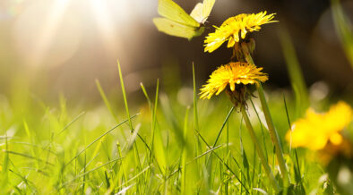 An Insider's Guide to June Events in the Hudson Valley