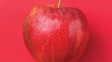 The Native Apple Varieties to Pick in the Hudson Valley