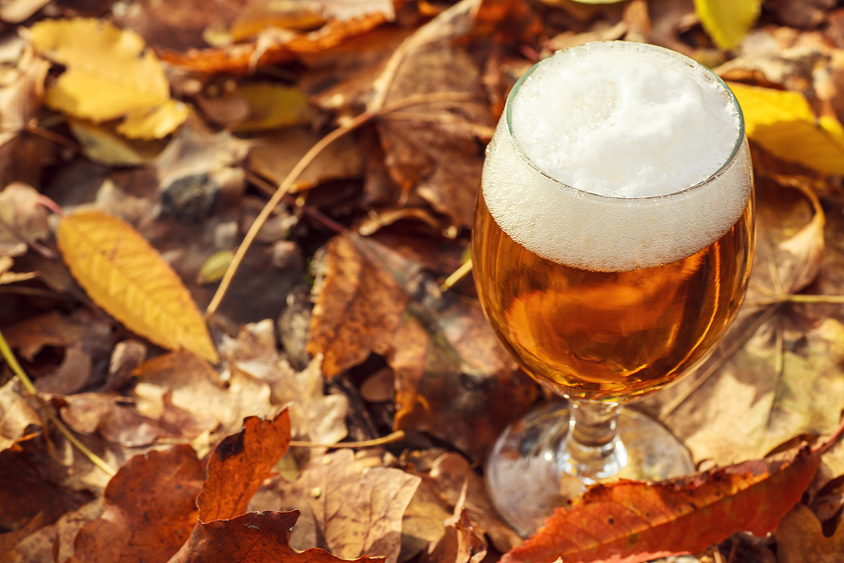 10 Hudson Valley Craft Beers Full of Fall Flavor