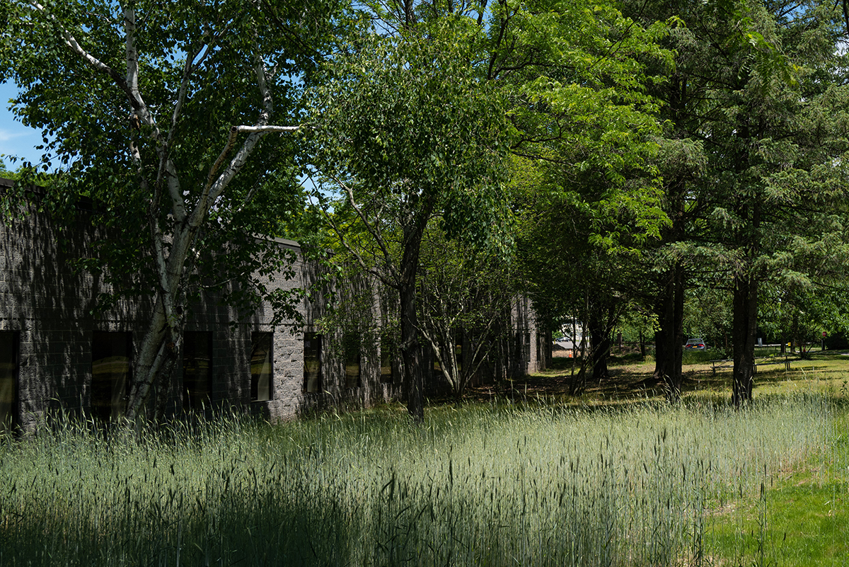 RBW’s New Kingston Location Shines Bright in the Hudson Valley