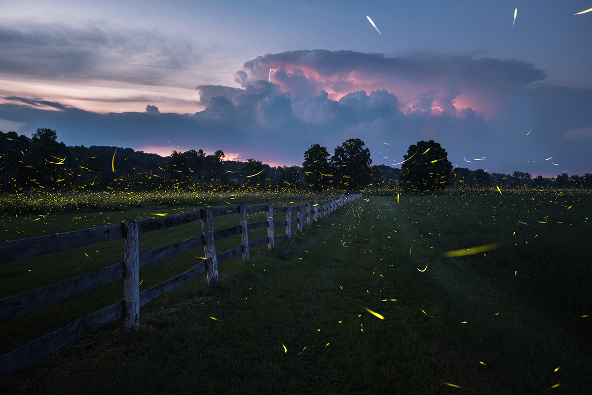 Julian Diamond: In Conversation With the Astrophotographer