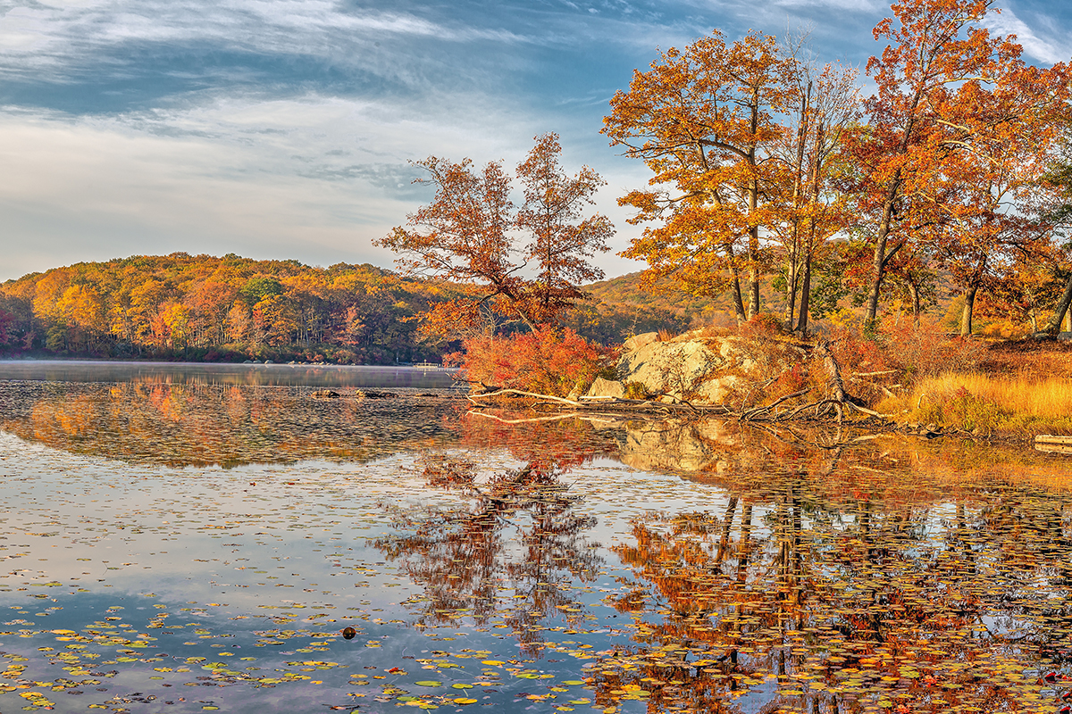 Fall Foliage in the Hudson Valley: The Best Leaf-Peeping Spots