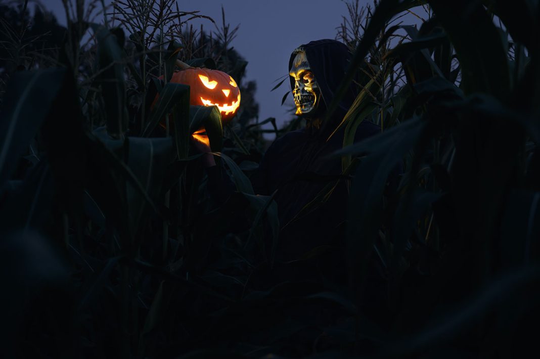 Boo! These Haunted Hudson Valley Attractions Bring the Scares