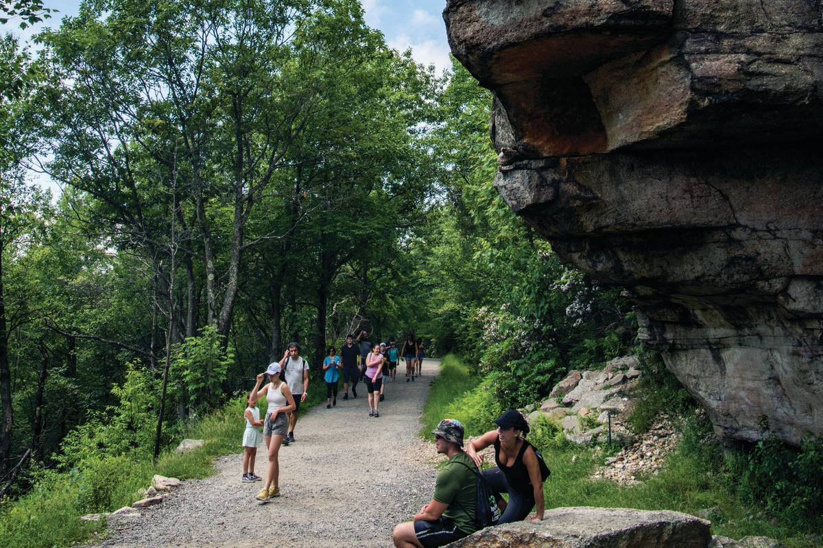 3 Trails Perfect for Spring Hikes in the Hudson Valley
