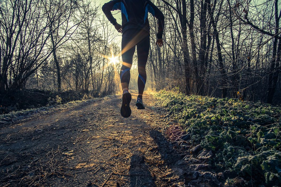 8 of the Top Trails to Go Running in the Hudson Valley